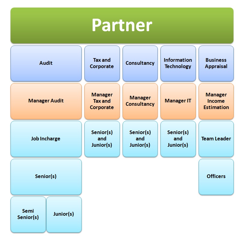 Organizational Chart – Amafh Consulting
